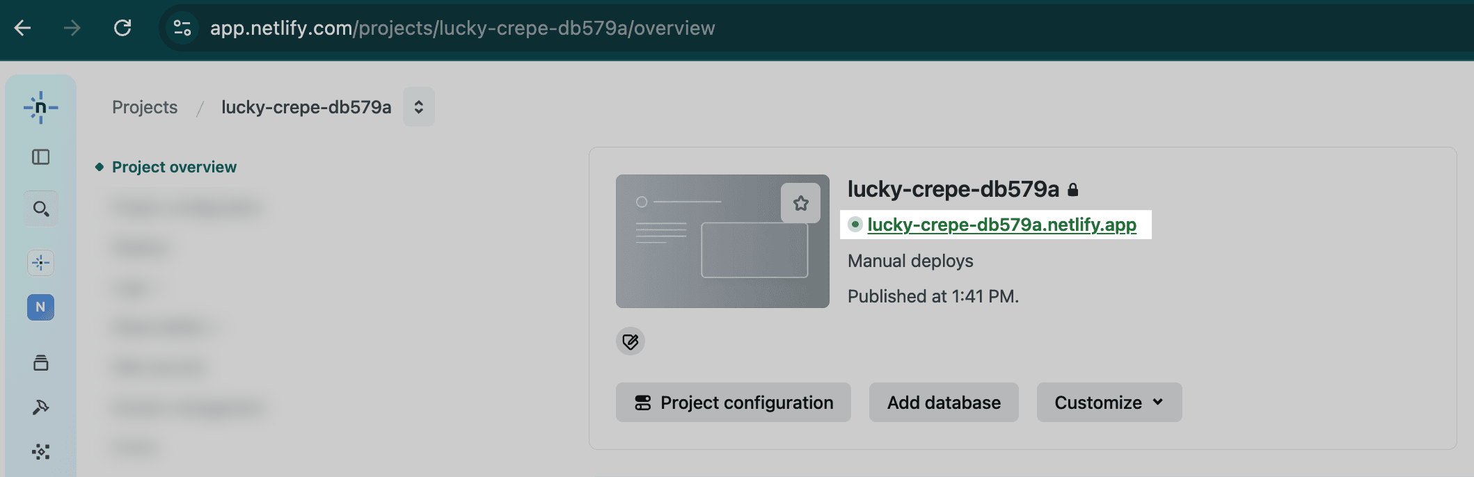 Netlify project dashboard with preview URL highlighted